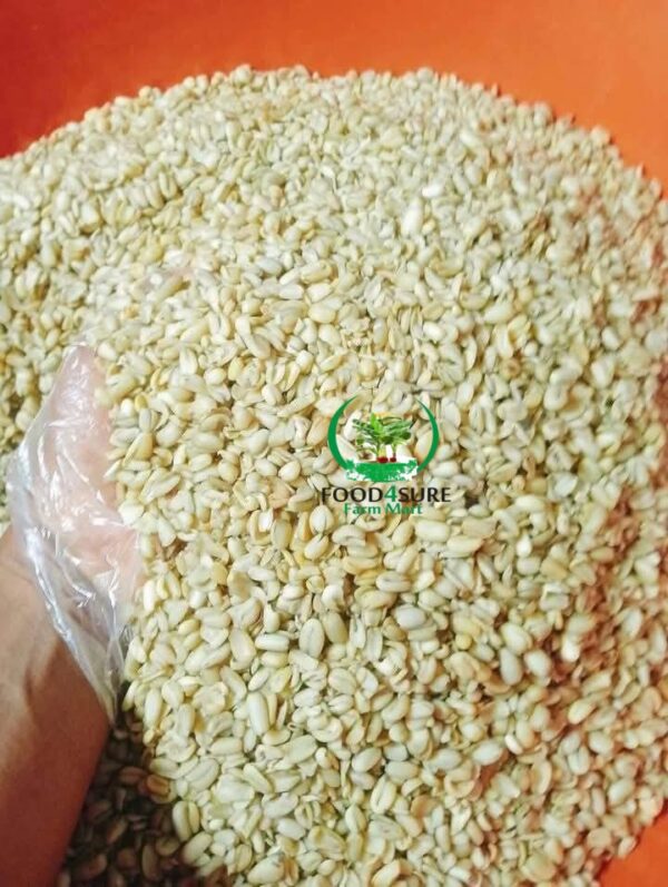 Ukwa Grain (African Breadfruit) – Fresh, Nutritious, and 100% Natural ...
